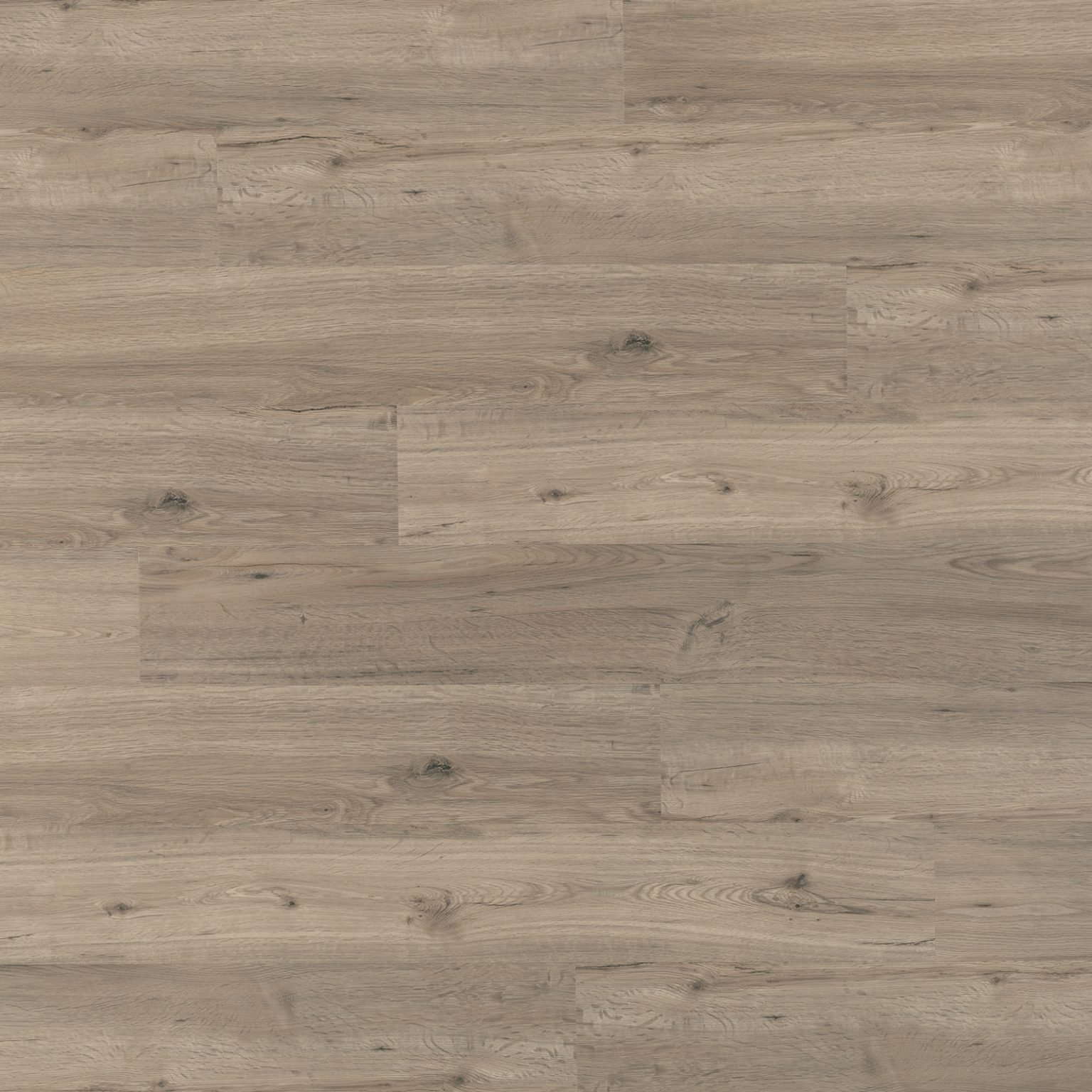 WCV3041 Grey Tusk | Pastoral 3000 Vinyl Planks - Wood Culture